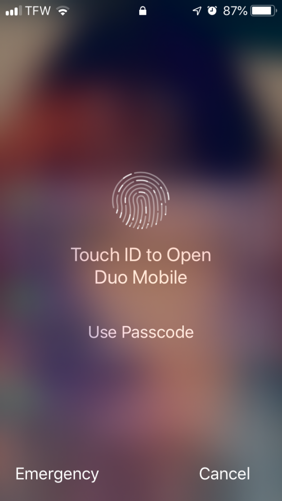 How to Login with Duo | Information Technology